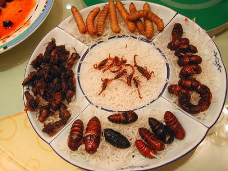 Las 10 comidas mas asquerosas | 10 FACTORES